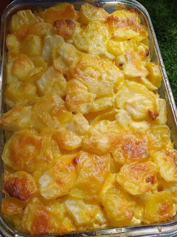 Scalloped Potatoes - Delicious Bites