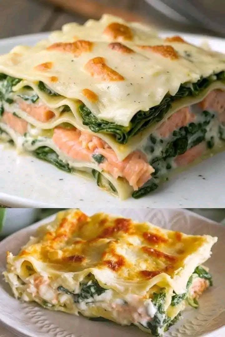 Salmon and Spinach Lasagna - Delicious Bites